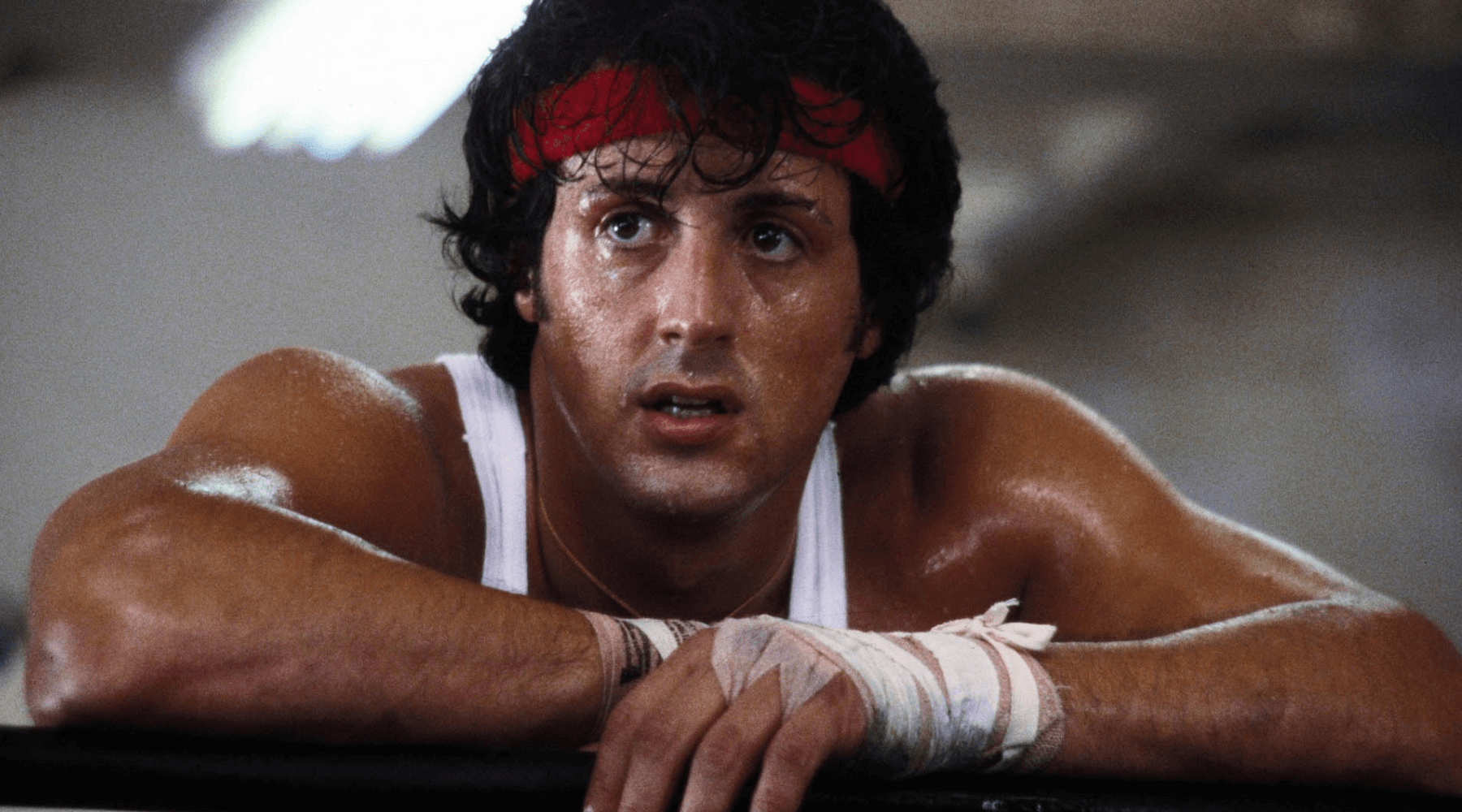 sylvester stallone workout plan