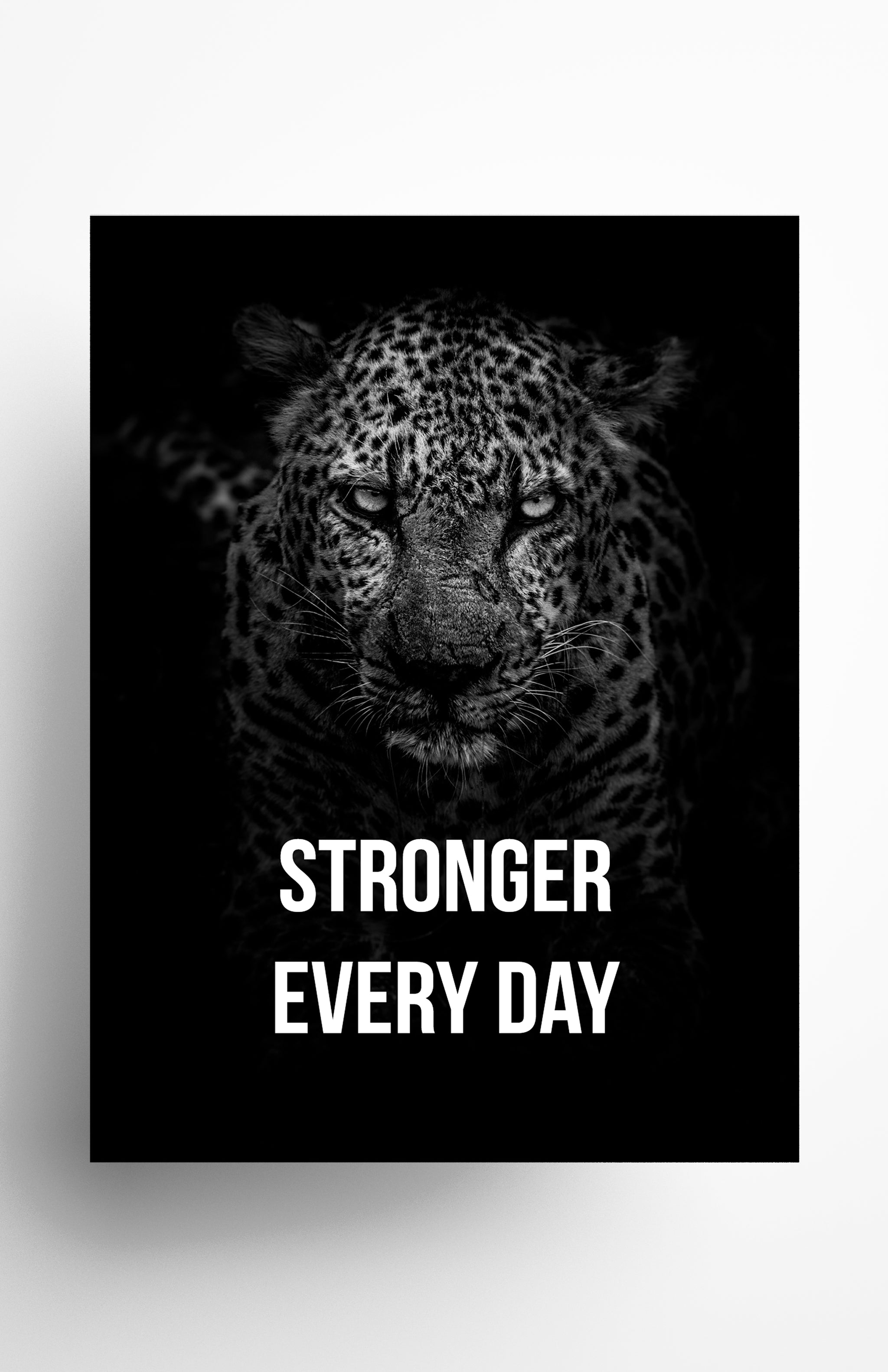 Motivational Posters, Art Prints & Wall Art Quotes - Gym, Office, Home ...